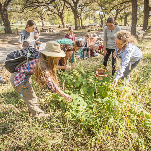 plantwalk-square – School of Adaptive Agriculture