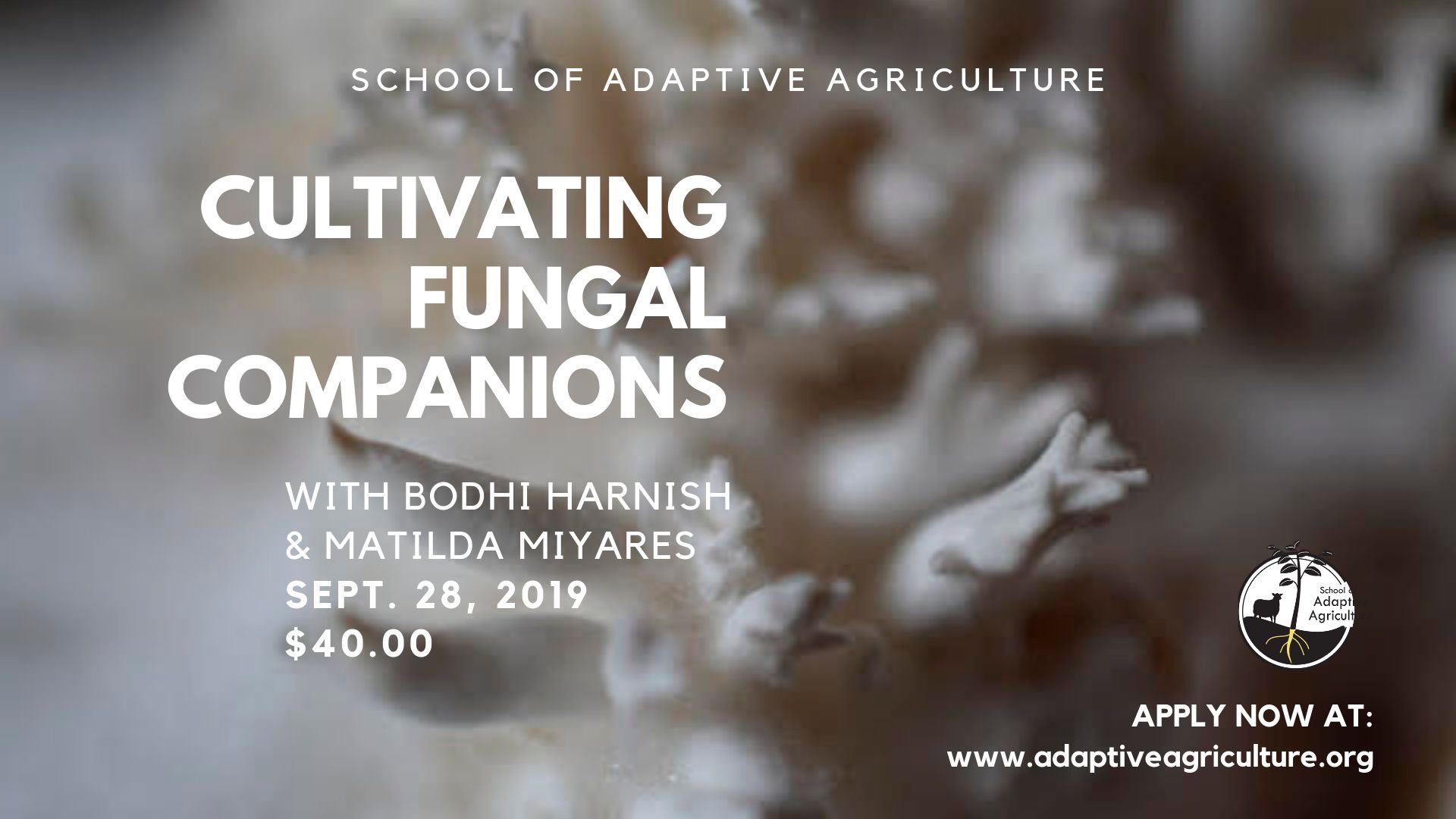 0928 Fungal Banner – School of Adaptive Agriculture