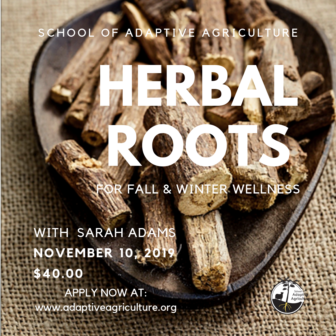 1110 herbal roots – School of Adaptive Agriculture