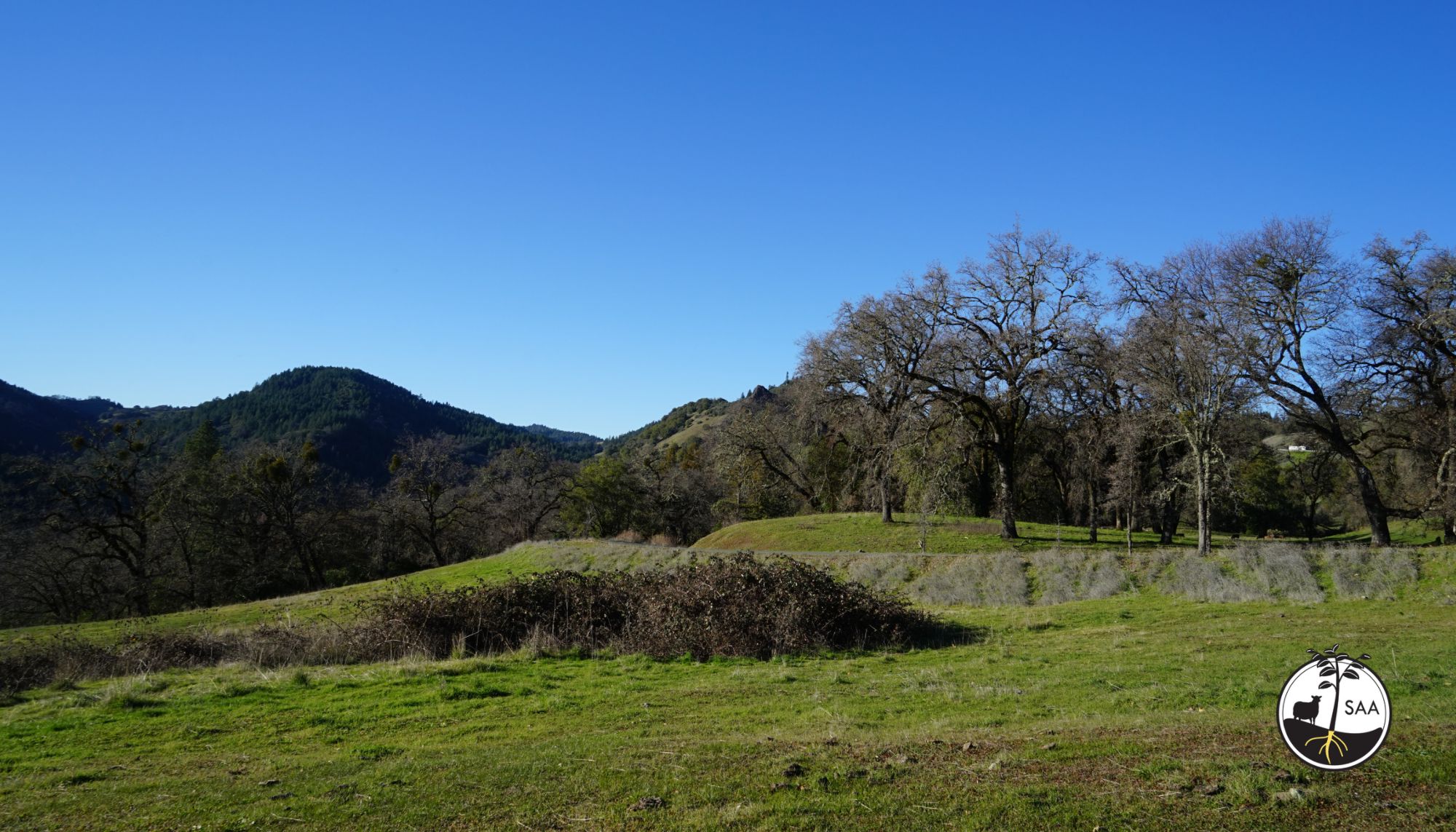 About Us – School of Adaptive Agriculture